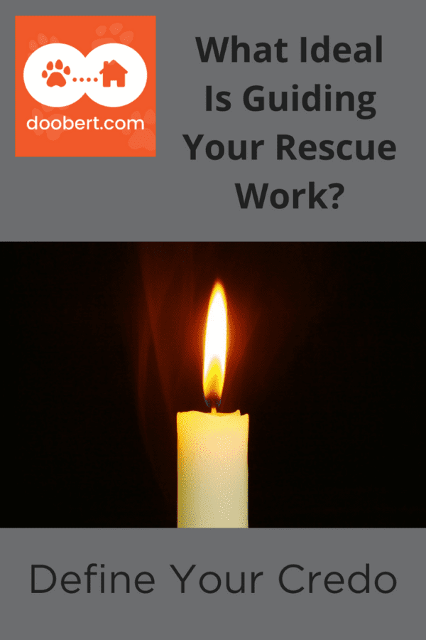 Define your credo to guide your animal rescue activities