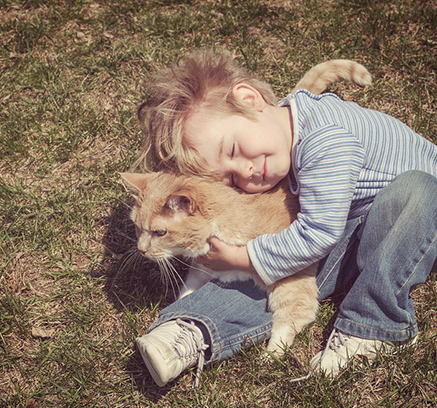 3 things animal volunteers do that help cats in animal shelters