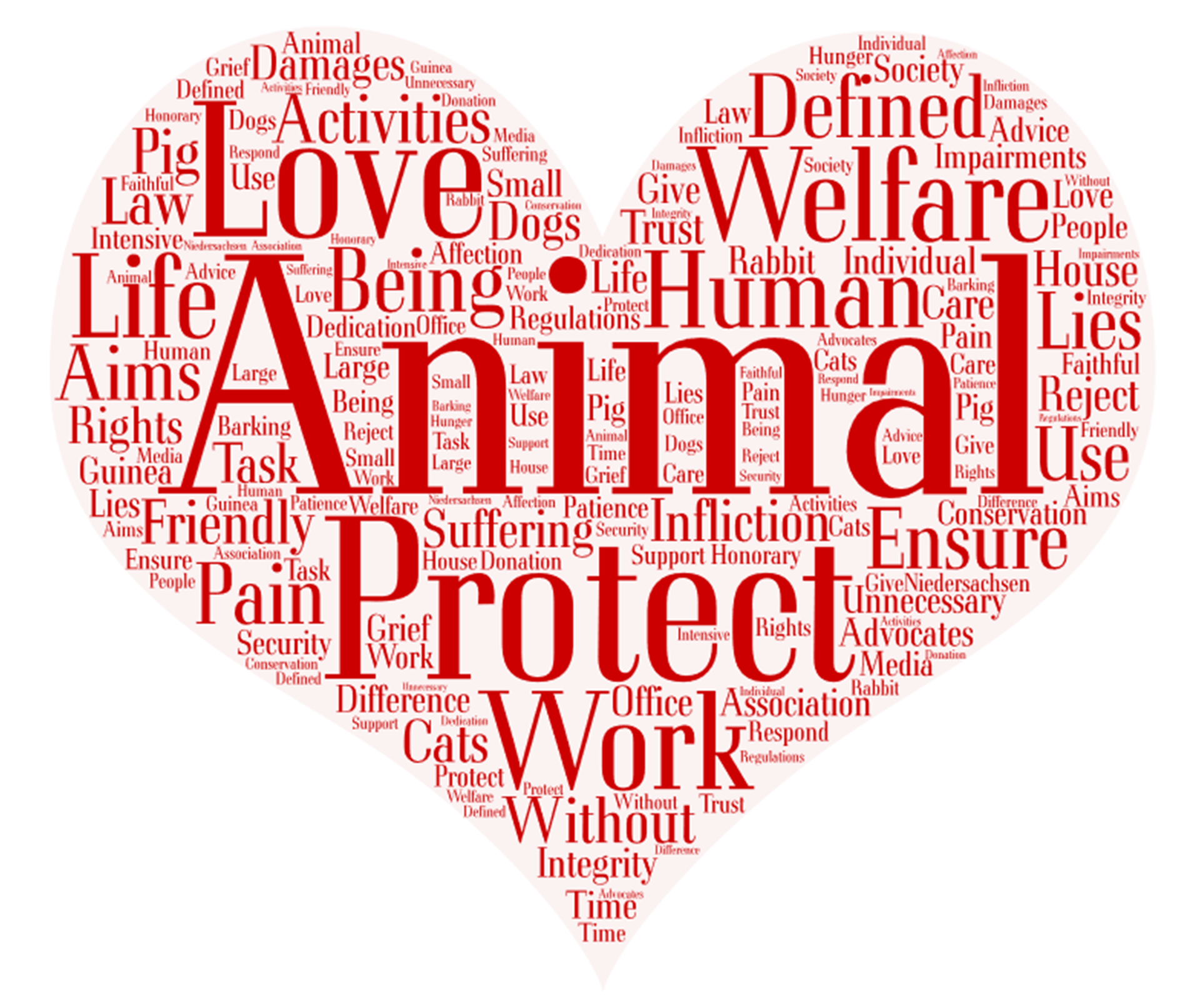 6 Virtual Volunteer Roles that help your Local Animal Shelter or Rescue ...