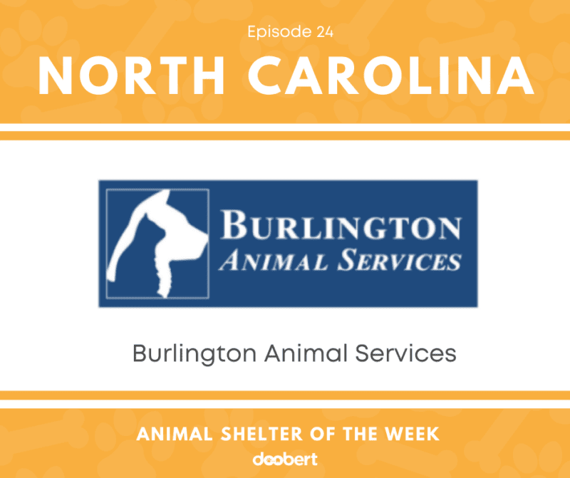 Animal Shelter of the Week: Episode 24 - Burlington Animal Services ...