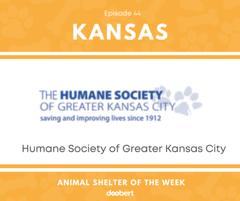 Animal Shelter of the Week: Episode 44 – Humane Society of Greater ...