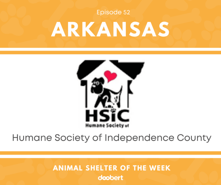 Animal Shelter of the Week: Episode 52 – Humane Society of Independence ...